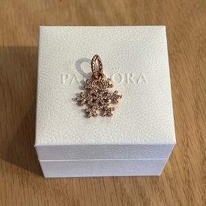 Pandora | Jewelry | Pandora Rose Sparkling Snowflake | Poshmark
